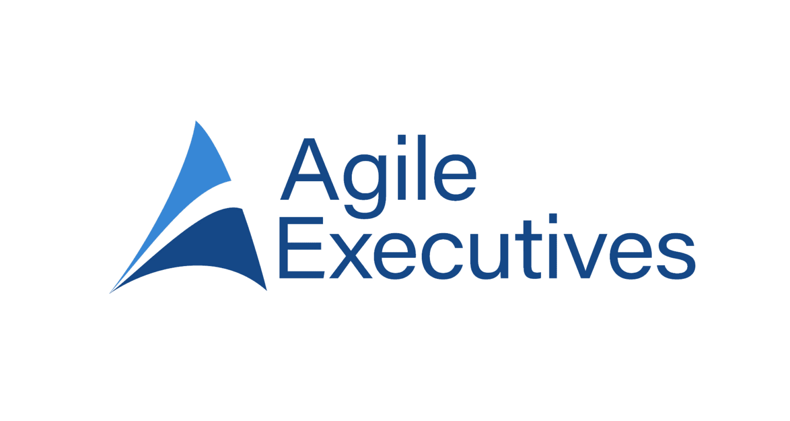 Grant Enquiry - Agile Executives